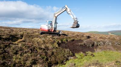 Home Page | Plant Health Centre